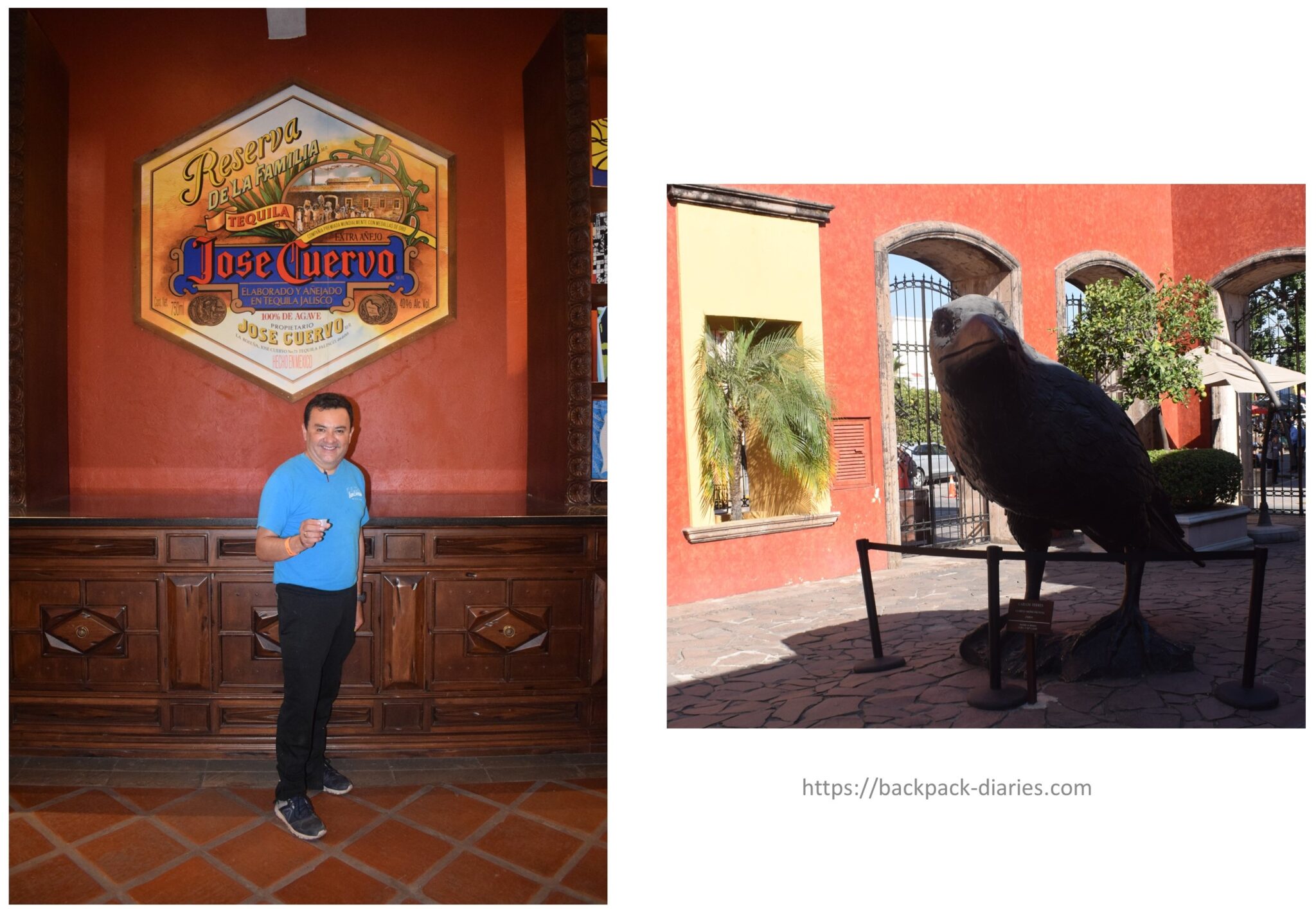 Experiencia tequilera en Casa Cuervo, la destilería más antigua de ...